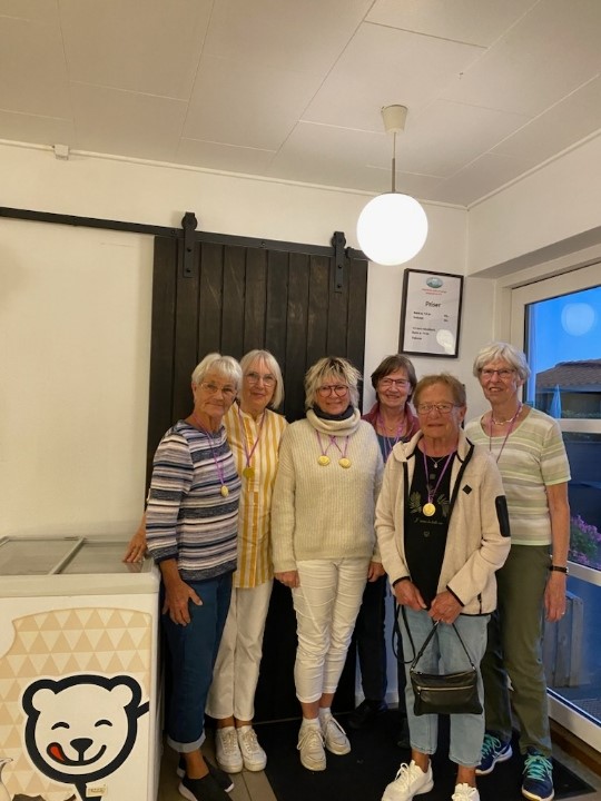 SI Nyborg – Sommeroplevelser – Soroptimist International Nyborg
